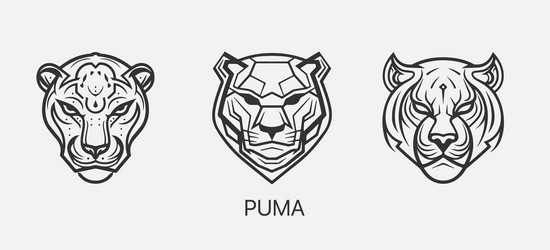 Modern abstract puma or jaguar head logo template Vector Image