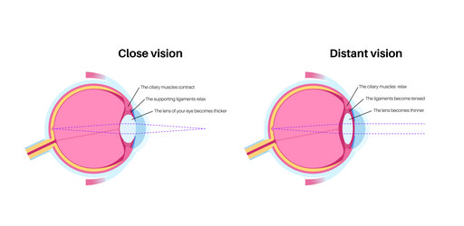 Blind spot poster Royalty Free Vector Image - VectorStock