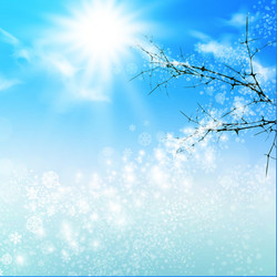 Winter Sun Vector Images (over 26,000)