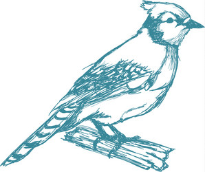 Tufted Titmouse Vector Images (66)