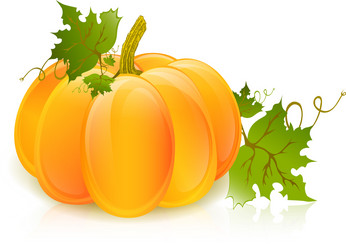 Pumpkin Vector Images (over 210,000)