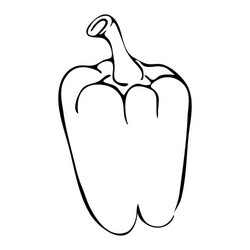 Paprika Draw Vector Images (over 3,000)