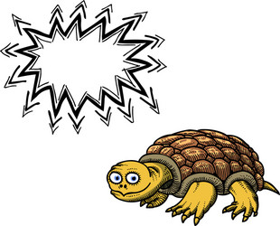 Snapping Turtle Vector Images (40)