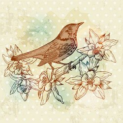 Vintage spring card with bird and flowers Vector Image