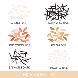 Rice Vector Images (over 81,000)