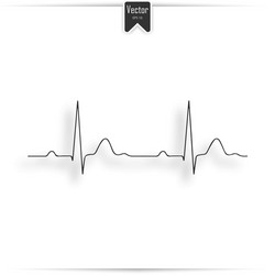 Normal electrocardiogram ecg eps 8 Royalty Free Vector Image