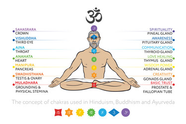 Chakras system of human body Royalty Free Vector Image