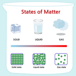Fundamentals states of matter with molecules Vector Image