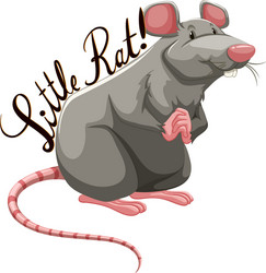 Little mouse with brown fur Royalty Free Vector Image