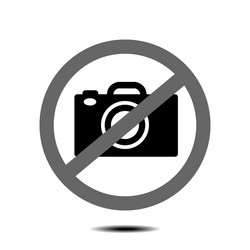 No camera photo Royalty Free Vector Image - VectorStock