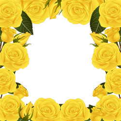 Yellow rose flower border Royalty Free Vector Image