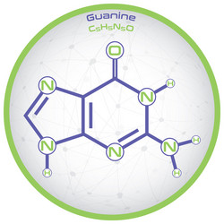Guanine Vector Images (over 270)