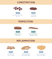 Bristol stool chart with medicine description Vector Image