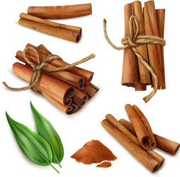 Cinnamon Vector Images (over 18,000)