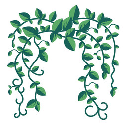 Tendril Vector Images (over 9,000)