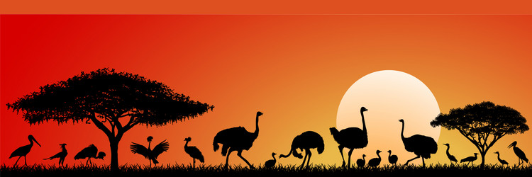 Savannah Tree Vector Images (over 2,600)