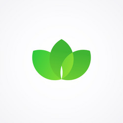 Three green leaf logo natural plant symbol Vector Image