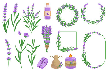 Lavender Vector Images (over 15,000)