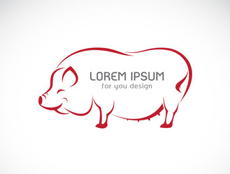 Pig design on white background farm animals easy Vector Image