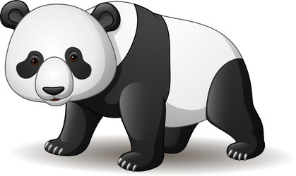 Cartoon cute little panda on white background Vector Image