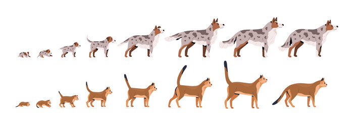 Pets growth stages little cat and dog characters Vector Image