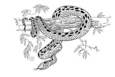 Anaconda Tattoo Vector Images (over 1,400)