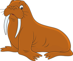 Walrus Royalty Free Vector Image - VectorStock