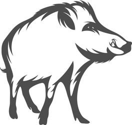 Wild boar logo design template icon symbol Vector Image