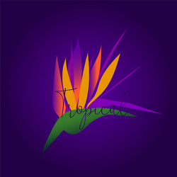 Tropical cartoon jungle Royalty Free Vector Image