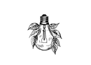 Engraving light bulb with leaves vintage engraved Vector Image