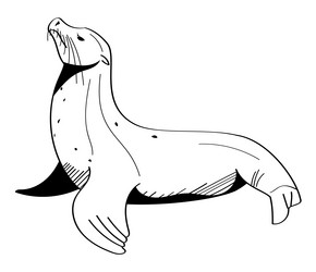 Seal Line Drawing Vector Images (over 2,600)