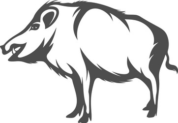 Wild boar logo design template icon symbol Vector Image