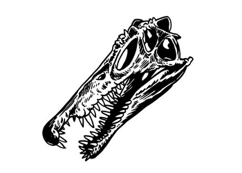 Gator Skull Vector Images (27)