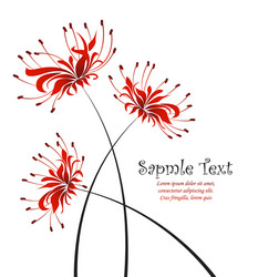 Lycoris Vector Images (11)