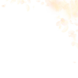 Cherry Blossom Corner Vector Images (over 580)