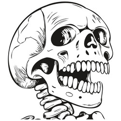 Skeleton reflection in monochrome Royalty Free Vector Image