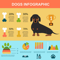 Puppy behavior infographics Royalty Free Vector Image