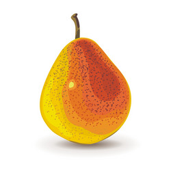 Pear Vector Images (over 61,000)