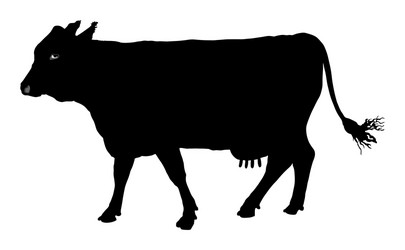 Simmental cow isolated milk and cheese fabric Vector Image