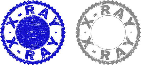 X-ray rubber stamp Royalty Free Vector Image - VectorStock
