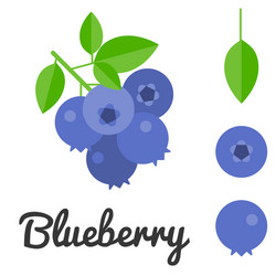 Blueberry Vector Images (over 27,000)
