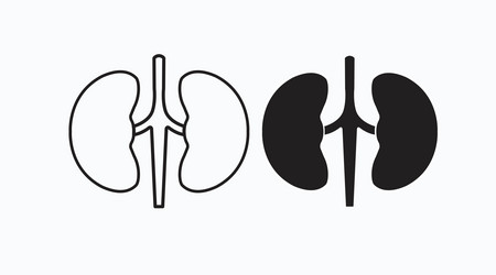 Kidney Vector Images (over 20,000)
