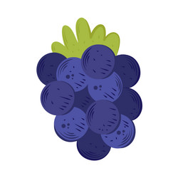 Ripe Vector Images (over 280,000)