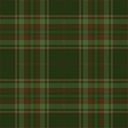 Dark green tartan plaid scottish pattern Vector Image