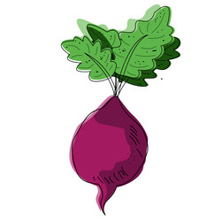 Beet Logo Vector Images (over 1,400)