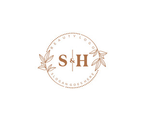 Initial sh letters beautiful floral feminine Vector Image