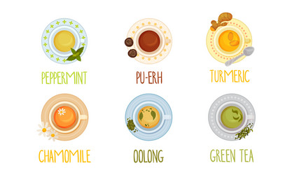 Different tea types poured in cups and standing Vector Image