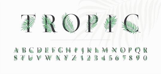 Tropical Font Vector Images (over 9,200)