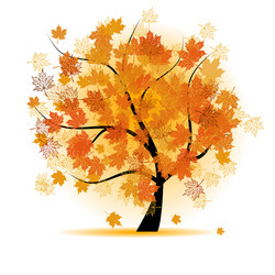Autumn tree maple Royalty Free Vector Image - VectorStock