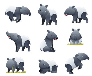 Cute malayan tapir standing as asian animal Vector Image